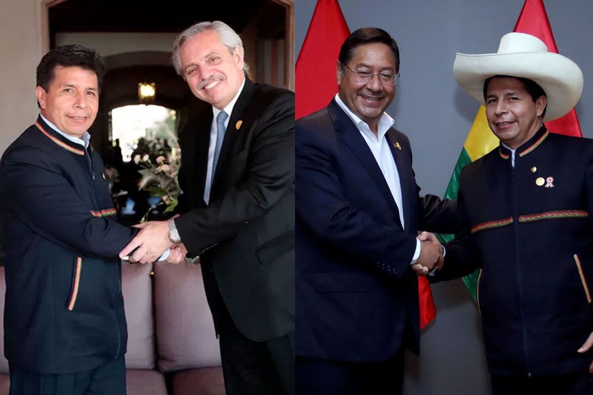 Педро Кастільо Президенти Аргентини та Болівії підтримують президента Перу в спробах