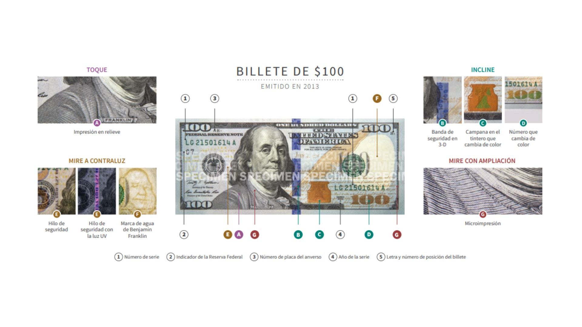Cómo Saber Si Un Dólar Es Falso La Guía Oficial Con Las 4